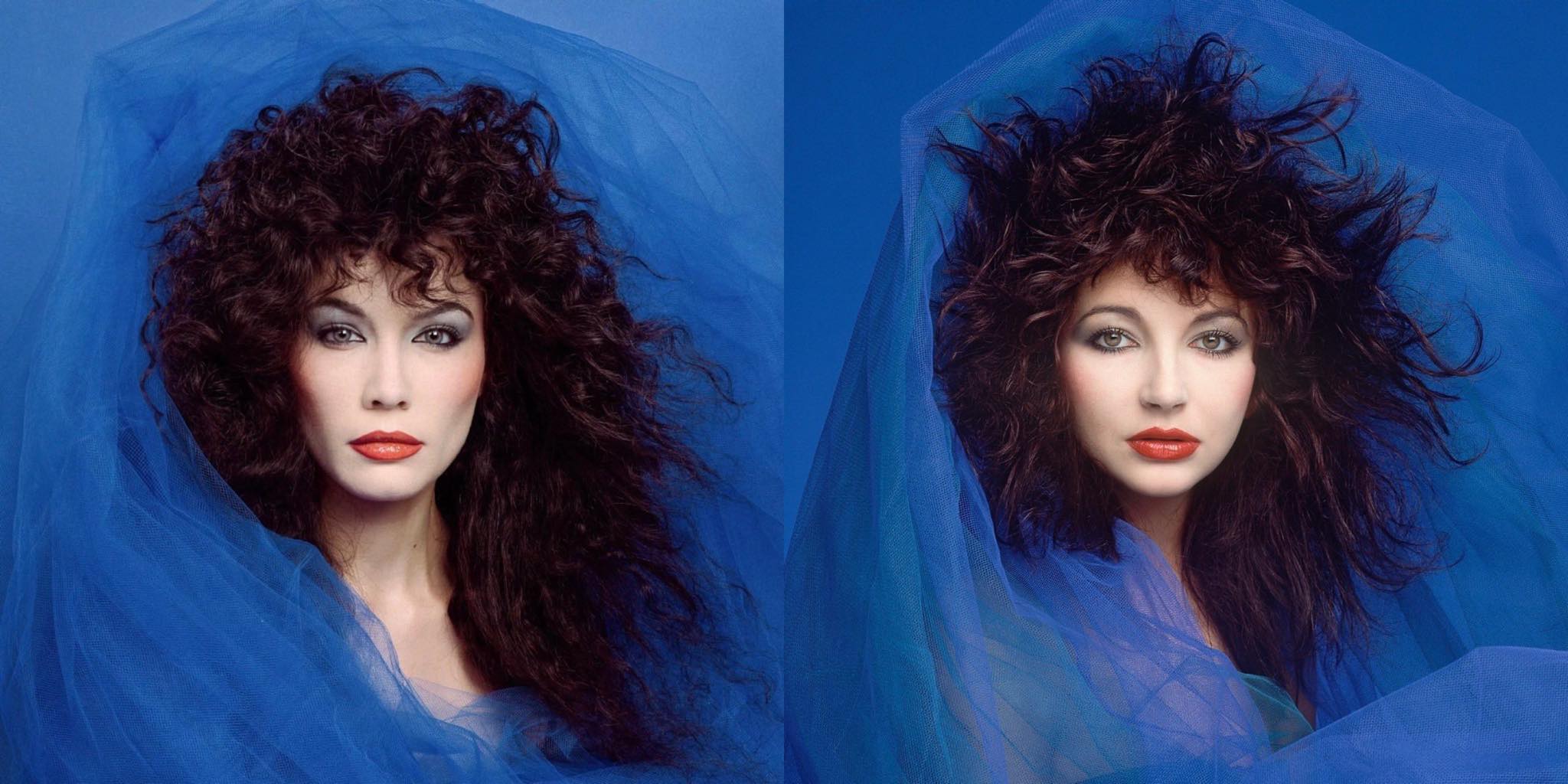 Singer Halsey Pays Homage To Kate On New Album Kate Bush News